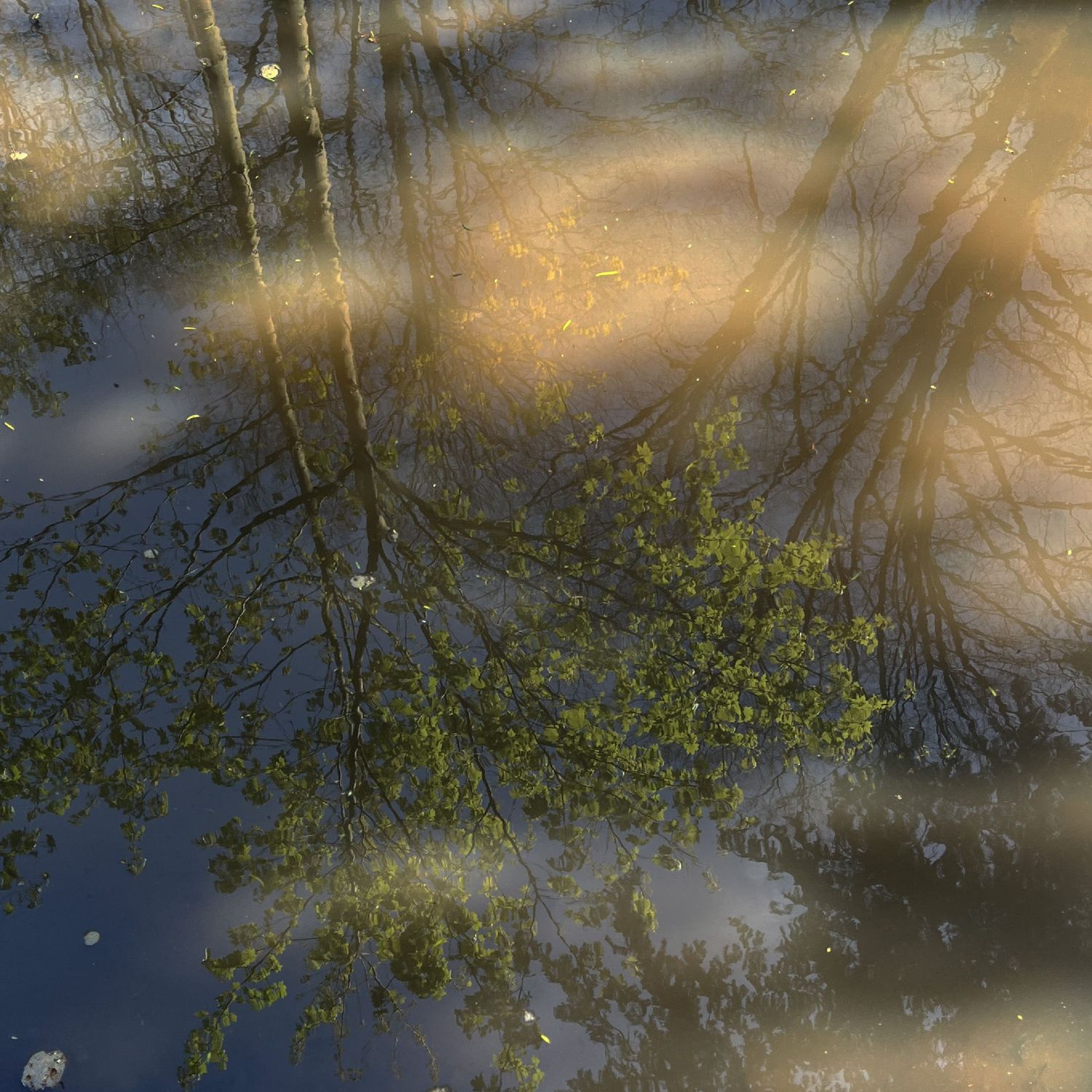 LYL Radio | LYL Radio | We're the rest.